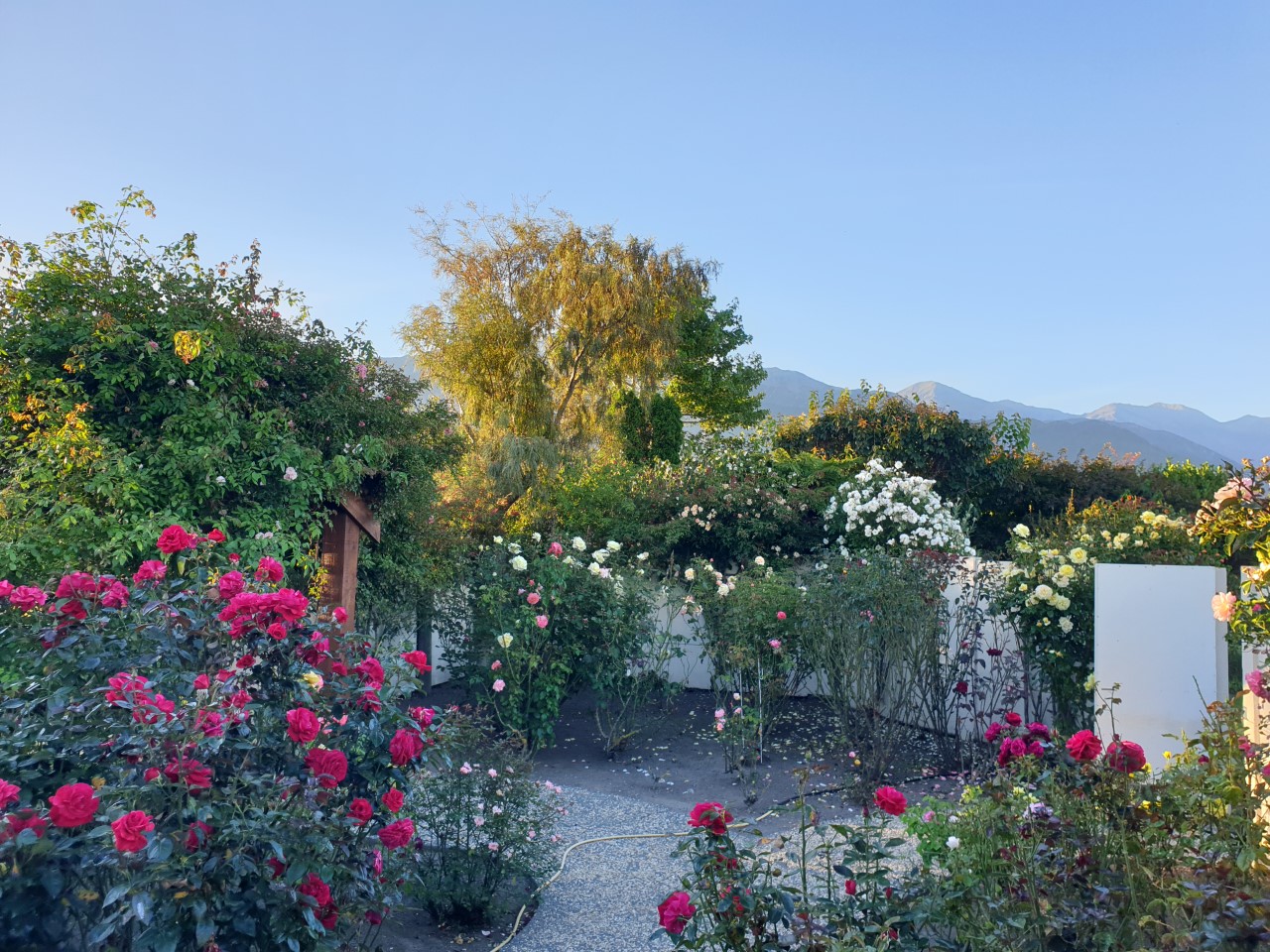 Accommodation - Te Mahuru Retreat